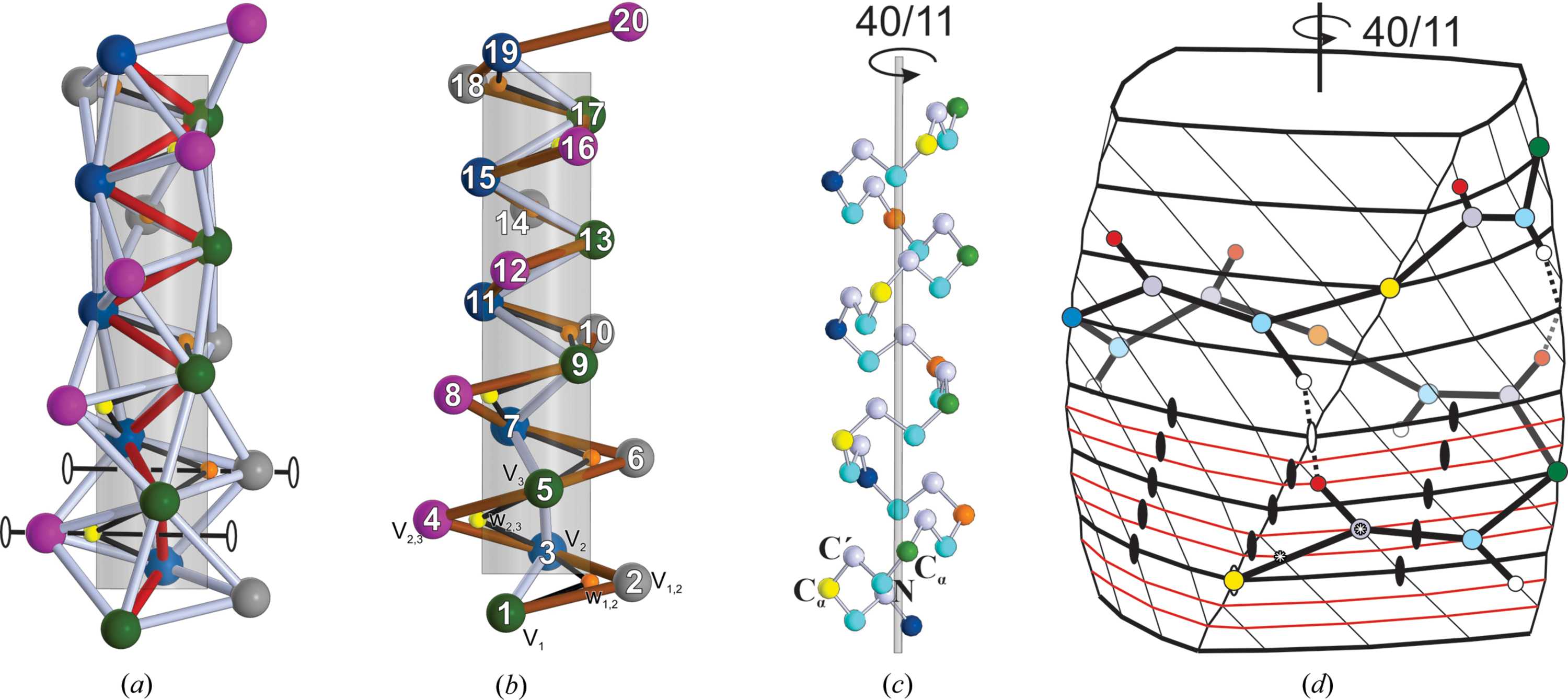 (IUCr) Helical substructures of 4D constructions that determine the ...