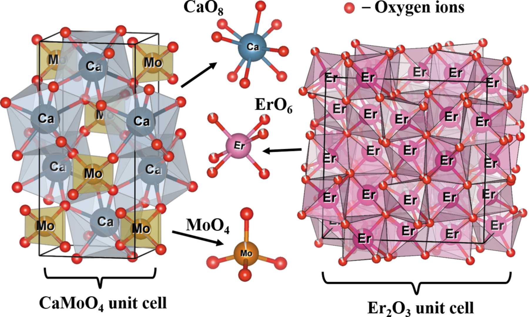 (IUCr) Structural and optical characterization of Er-doped CaMoO 4 down ...