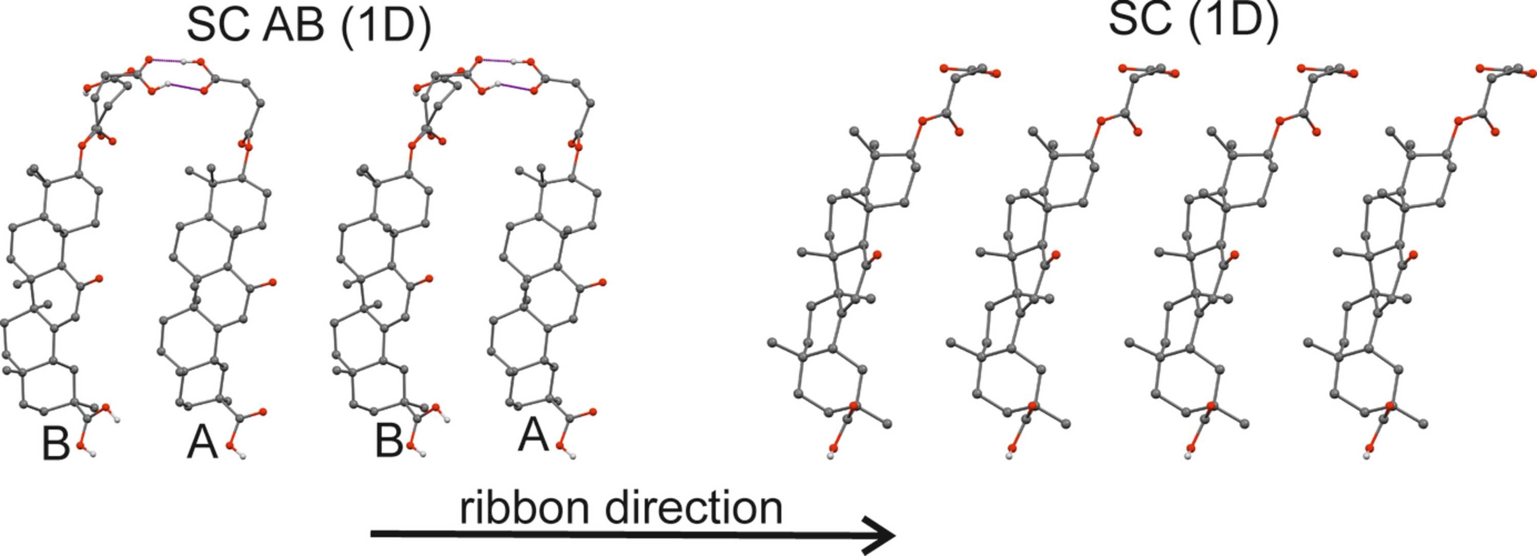 (IUCr) Solvated forms of carbenoxolone – different degrees of ...