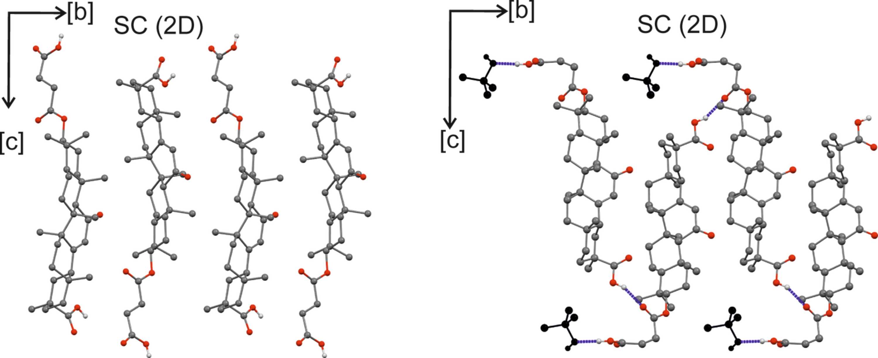 (IUCr) Solvated forms of carbenoxolone – different degrees of ...