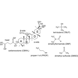(IUCr) Solvated forms of carbenoxolone – different degrees of ...