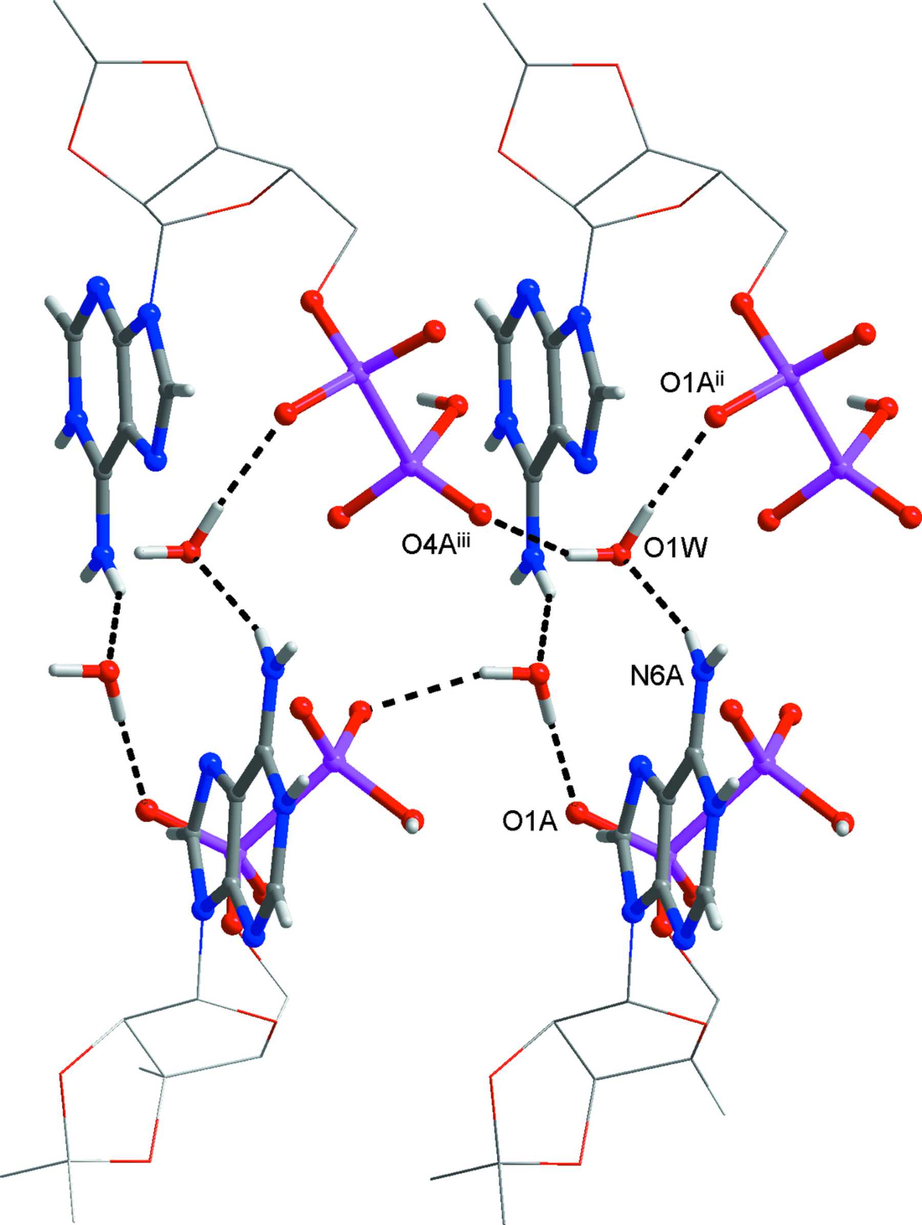 (IUCr) Adenosine hypodiphosphate ester, an analogue of ADP: analysis of ...