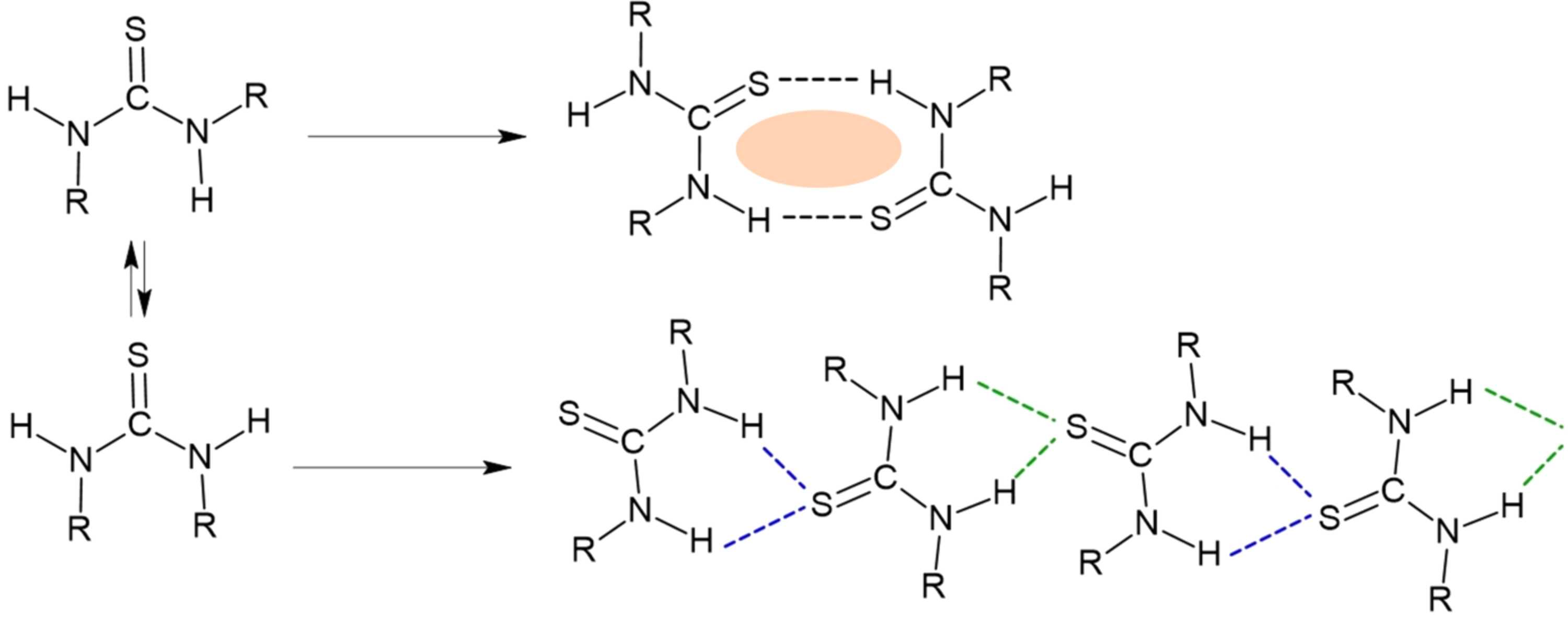 (IUCr) The pattern of bifurcated hydrogen bonds in thio­urea cocrystals ...