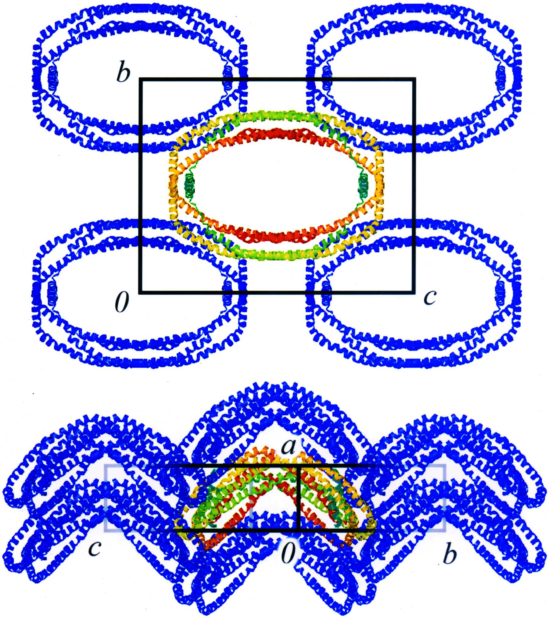 (IUCr) Crystallization of truncated human apolipoprotein A-I in a novel ...