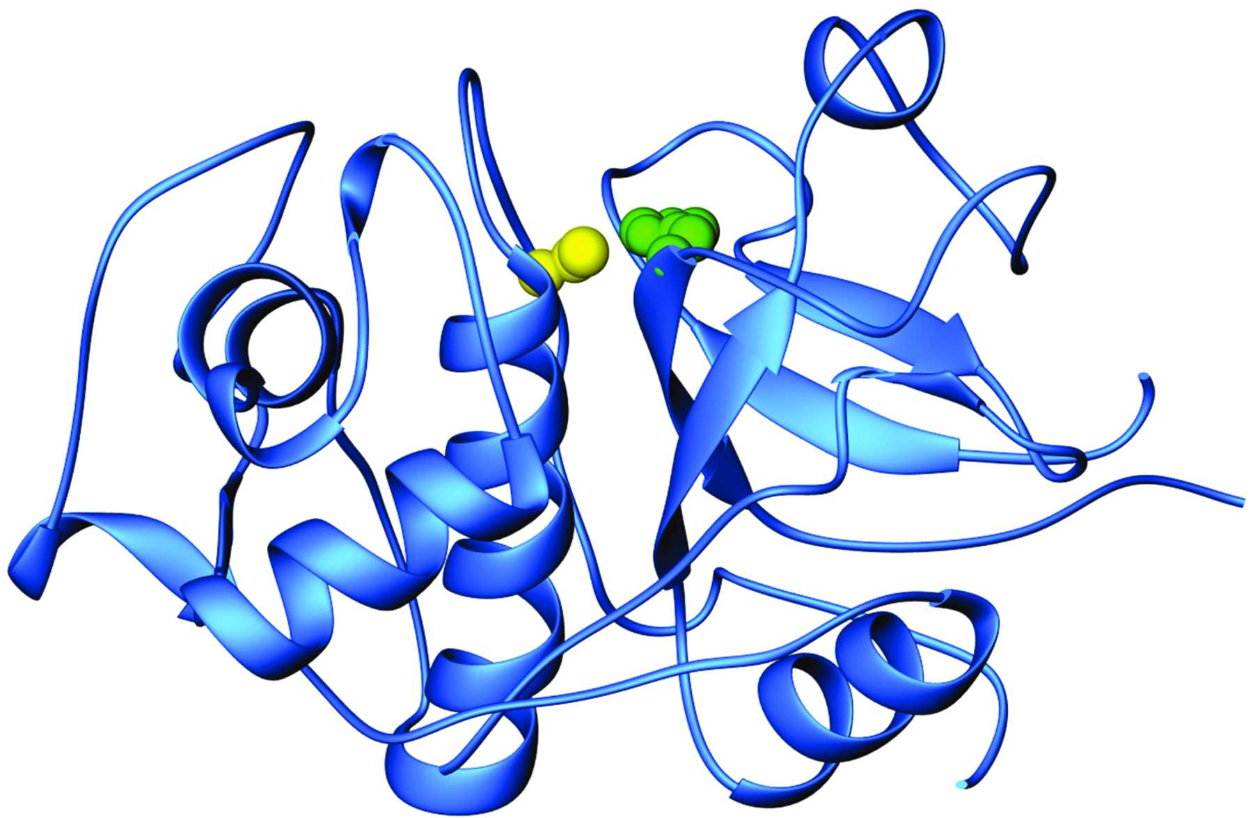 (IUCr) Lysosomal cysteine proteases (cathepsins): promising drug targets