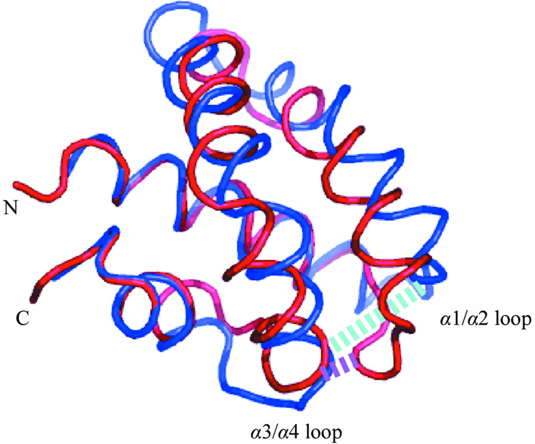 (IUCr) Structures of the human ceramide activator protein saposin D