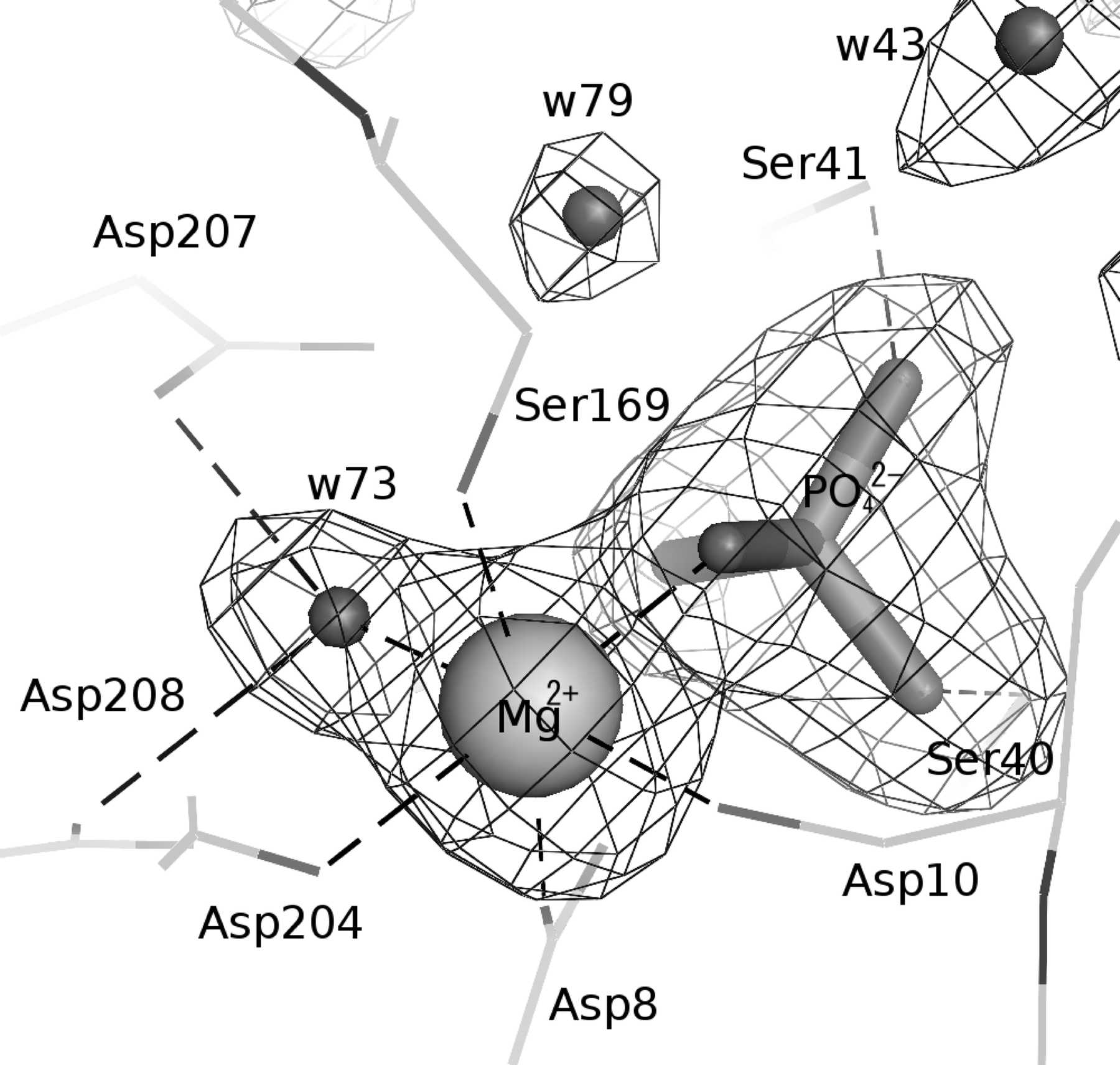 (IUCr) Structure of mannosyl-3-phosphoglycerate phosphatase from ...