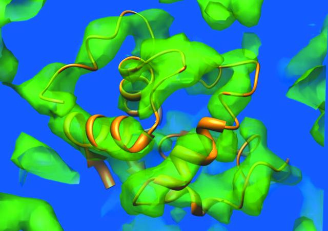(IUCr) Features of the secondary structure of a protein molecule from ...