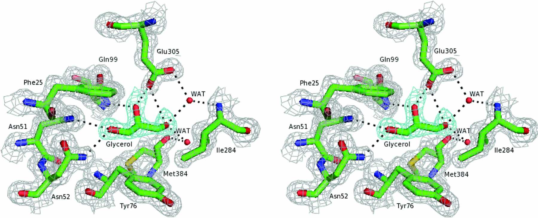 (IUCr) The high-resolution structure of pig heart succinyl-CoA:3 ...