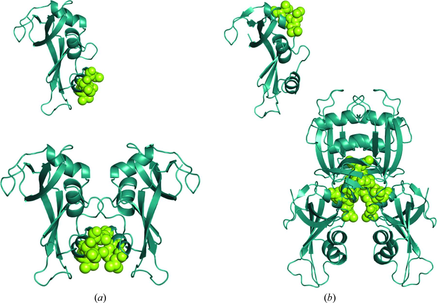 (IUCr) Towards investigation of the inhibitor-recognition mechanisms of ...