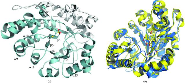 (IUCr) Structure of the corrinoid:coenzyme M methyltransferase MtaA ...