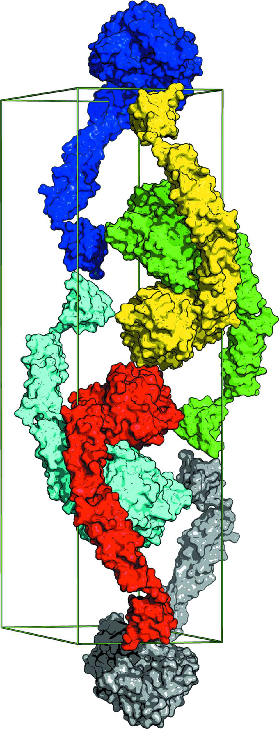 (IUCr) Structure of a complete four-domain chitinase from Moritella ...