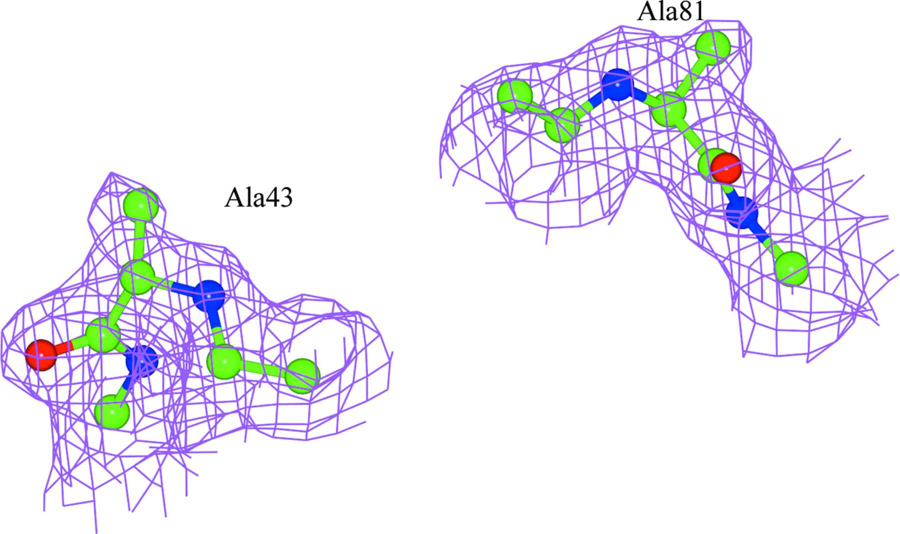 (IUCr) Structure and functional studies of the ribonuclease binase ... (IUCr) Structure and functional studies of the ribonuclease binase ...
