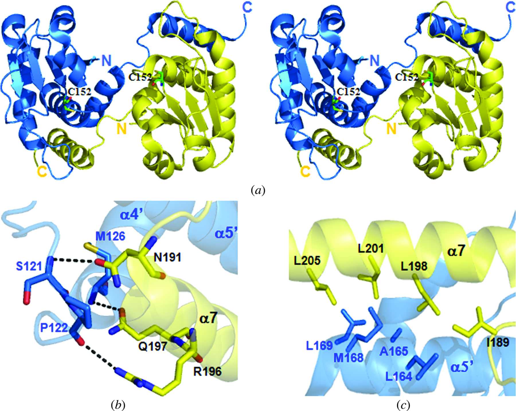(IUCr) High-resolution crystal structure of the catalytic domain of ...