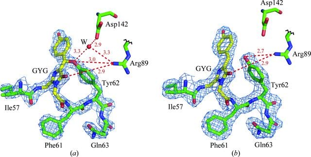 (IUCr) Structure of the red fluorescent protein from a lancelet ...