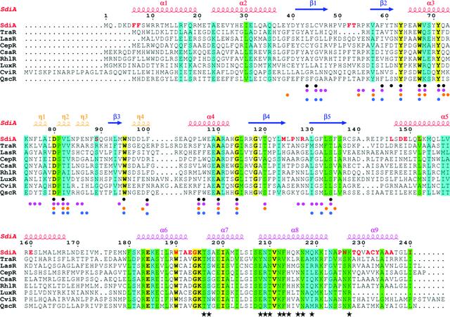 (IUCr) Structural insights into the molecular mechanism of Escherichia ...