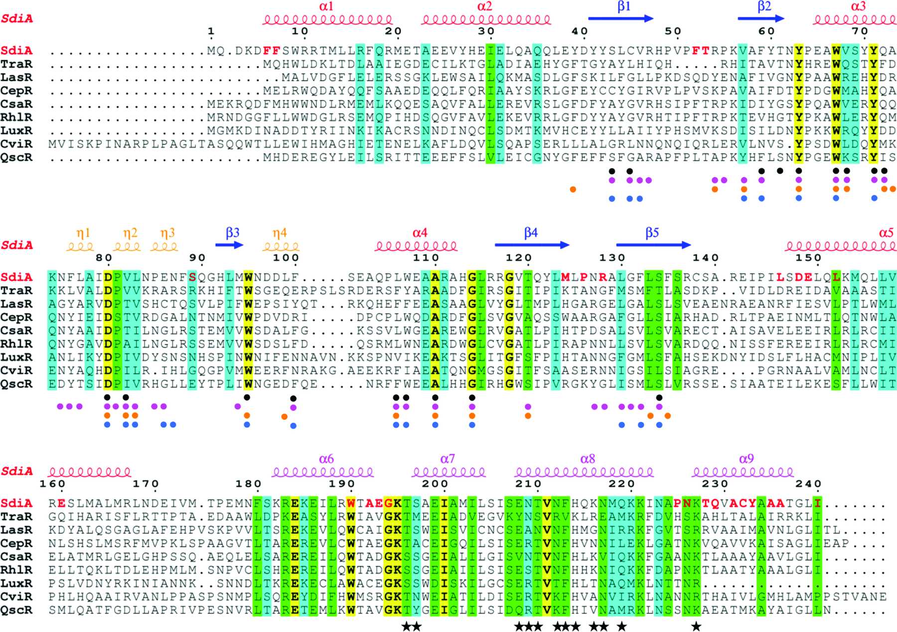 (IUCr) Structural insights into the molecular mechanism of Escherichia ...