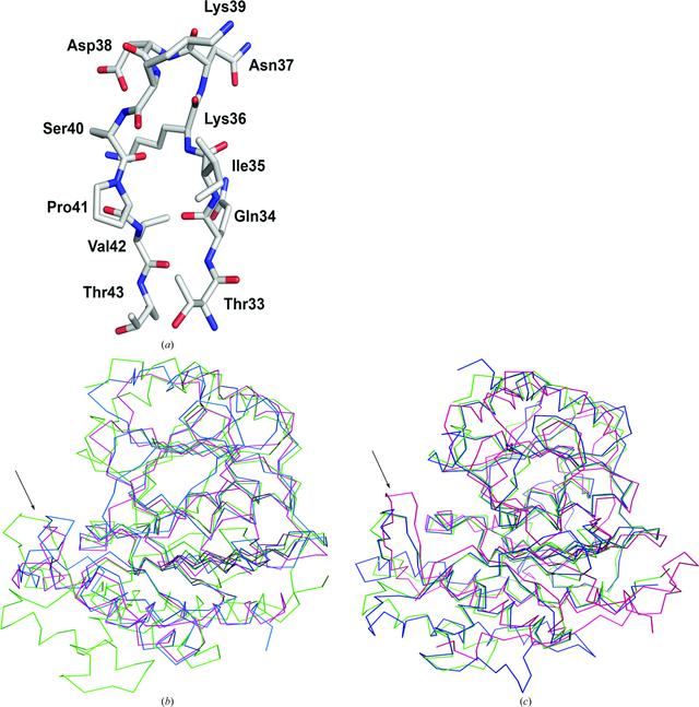 (IUCr) Structural elucidation of a dual-activity PAP phosphatase-1 from ...