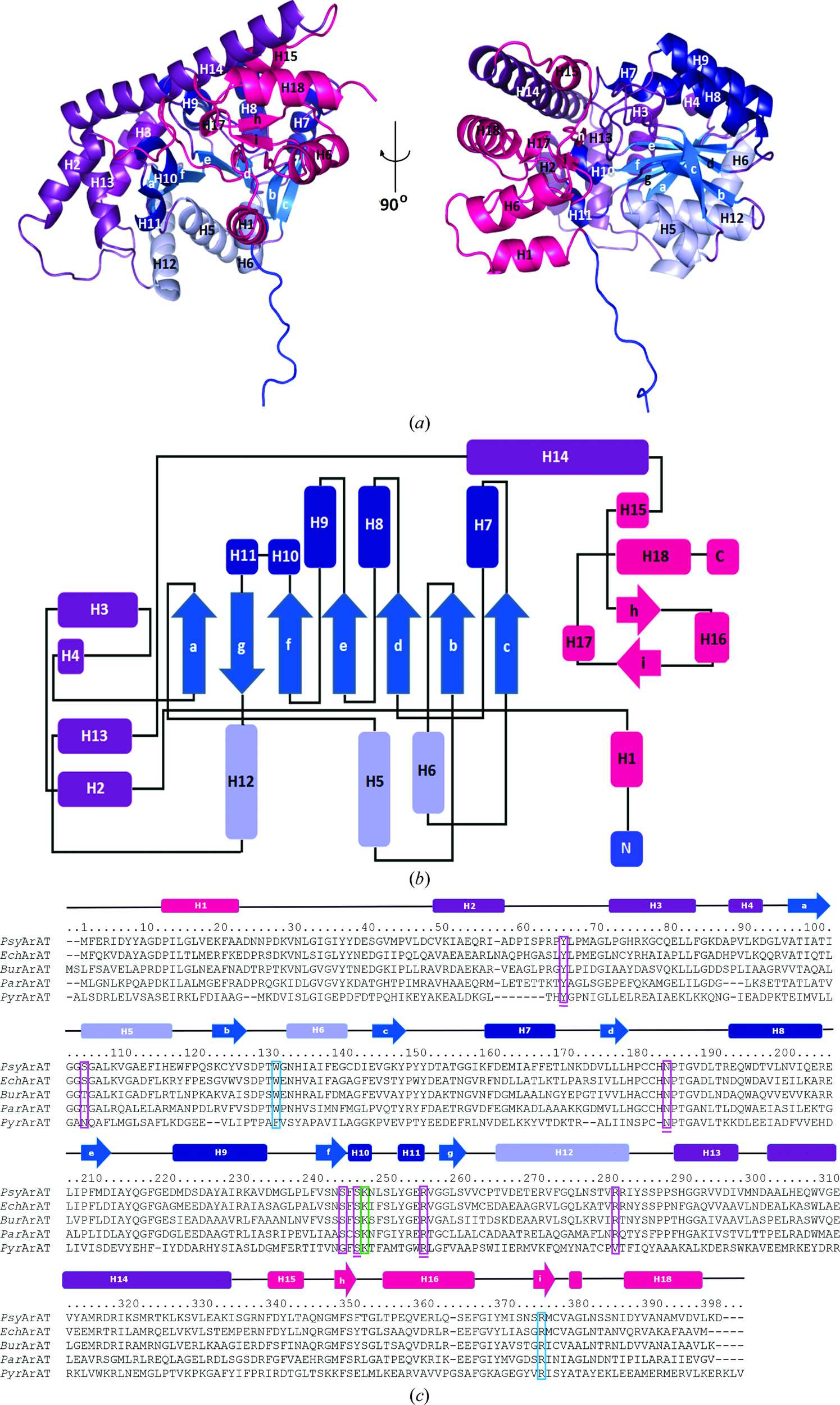 (IUCr) Crystal structure and enzymatic properties of a broad substrate ...