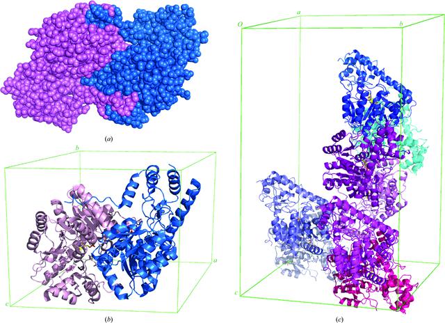 (IUCr) Crystal structure and enzymatic properties of a broad substrate ...