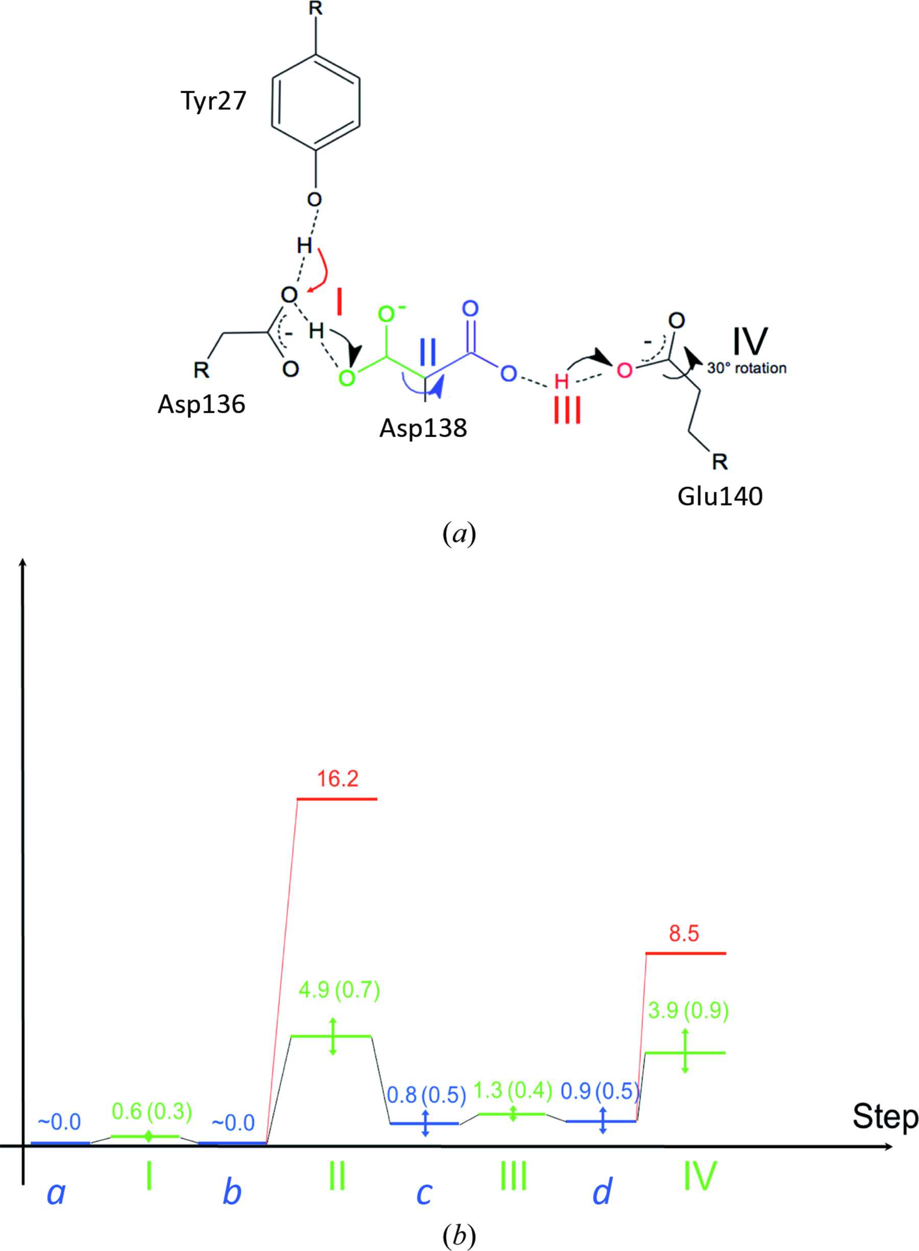 (IUCr) New insights into the enzymatic mechanism of human ...
