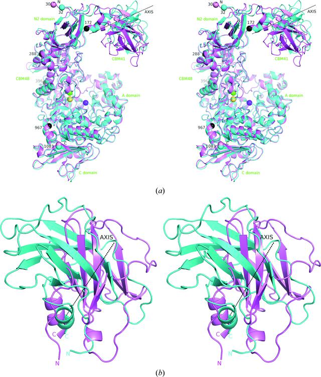 (IUCr) Elucidation of the mechanism of interaction between Klebsiella ...