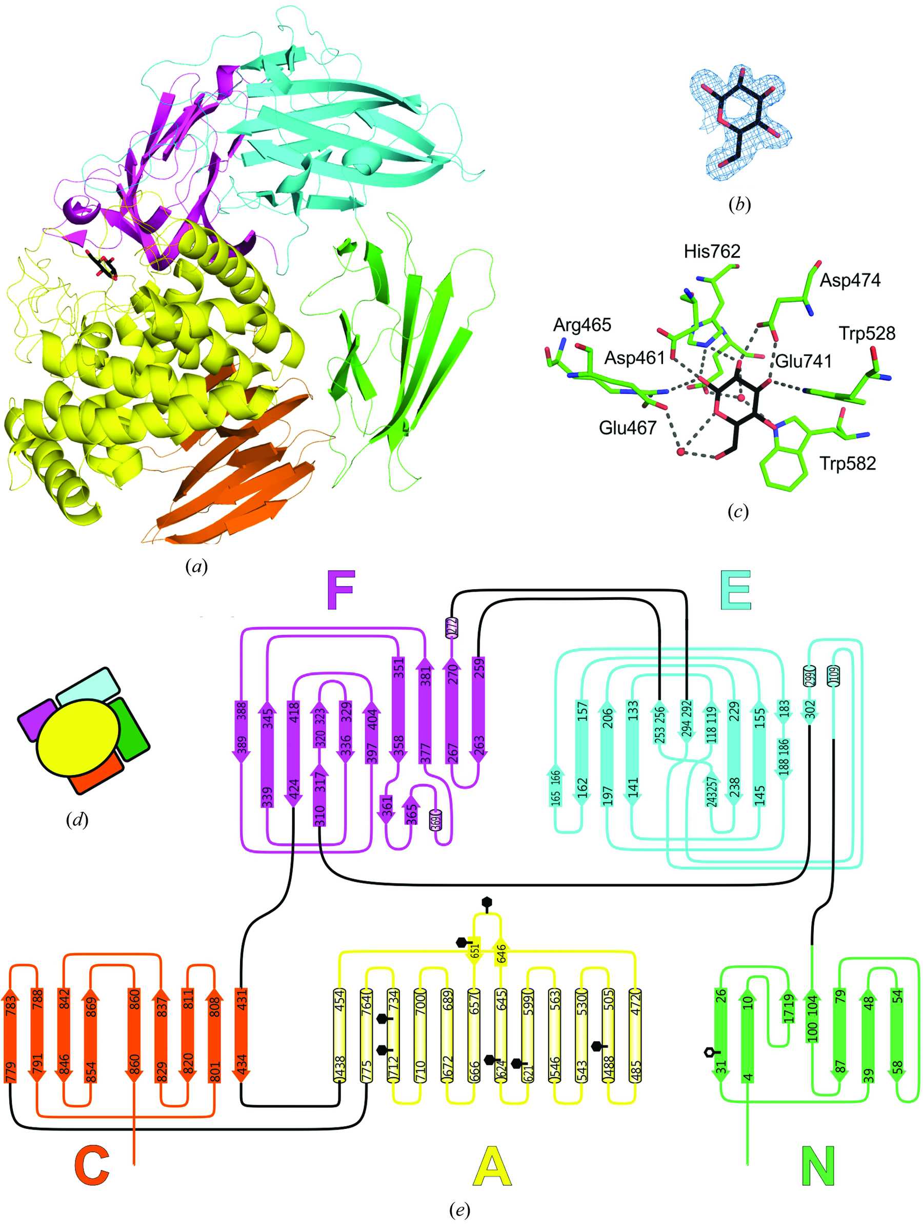 (IUCr) Crystal structure of native α - L -rhamnosidase from Aspergillus ...