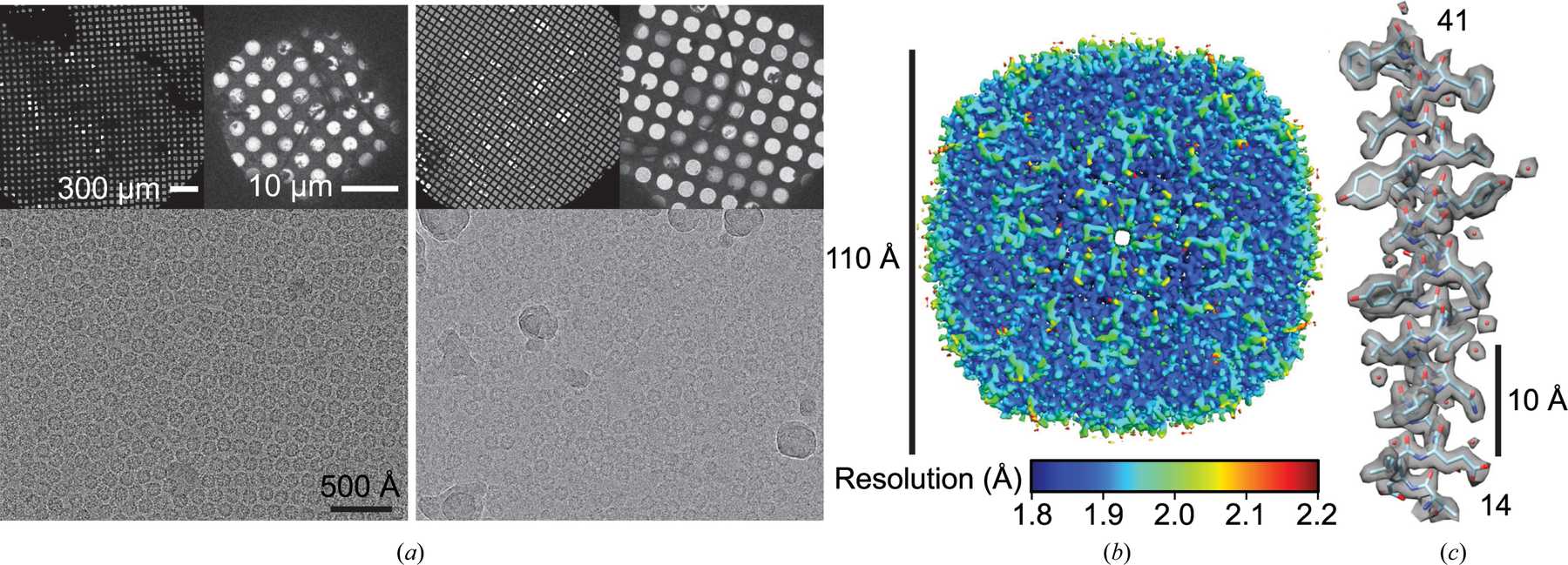 (IUCr) Through-grid wicking enables high-speed cryoEM specimen preparation