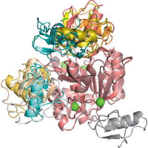 (IUCr) Elucidation of protein function using computational docking and ...