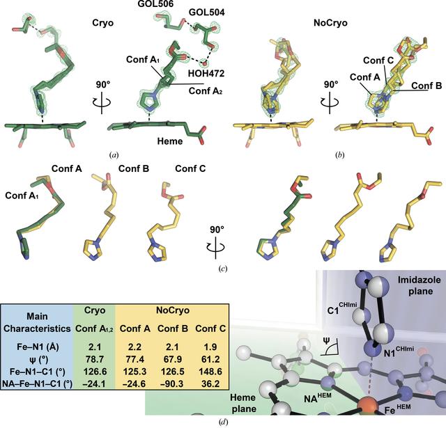(IUCr) Structural insights into the effects of glycerol on ligand ...