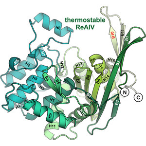 (IUCr) Rhizobium etli has two L-asparaginases with low sequence ...
