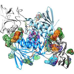 (IUCr) Novel starting points for fragment-based drug design against ...