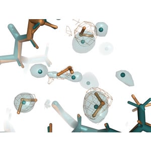 (IUCr) Improved joint X-ray and neutron refinement procedure in Phenix