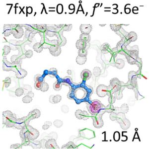 (IUCr) A high-resolution data set of fatty acid-binding protein ...