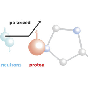 (IUCr) Hydrogen density mapping in biomolecular crystals through ...