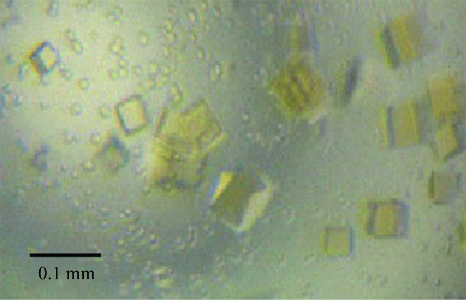 (IUCr) Crystallization of Δ 1 -tetra­hydrocannabinolic acid (THCA ...