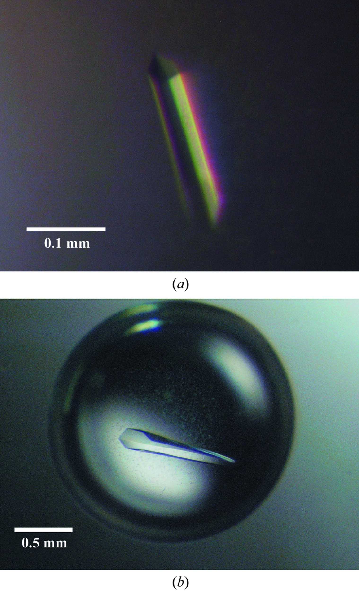 (IUCr) Expression, purification, crystallization and preliminary X-ray ...