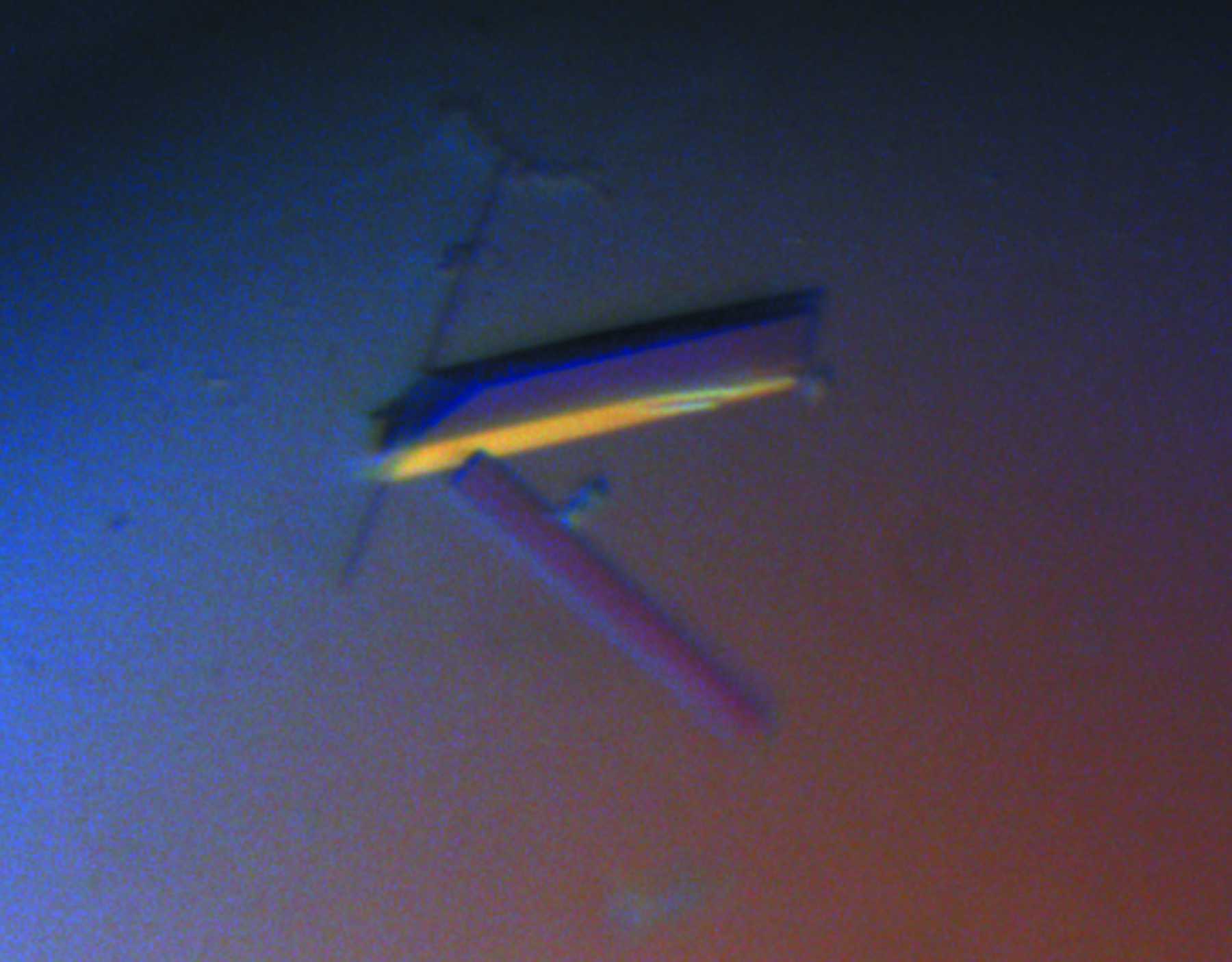 (IUCr) Crystallization and preliminary X-ray diffraction analysis of ...
