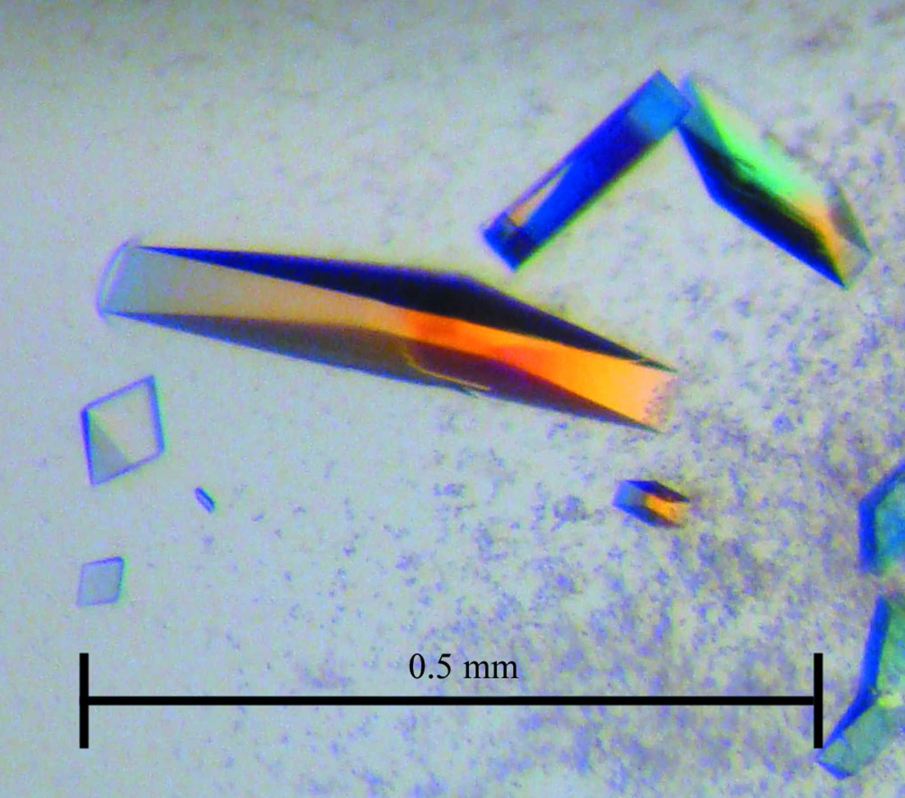 (IUCr) Purification, crystallization and preliminary X-ray analysis of ...