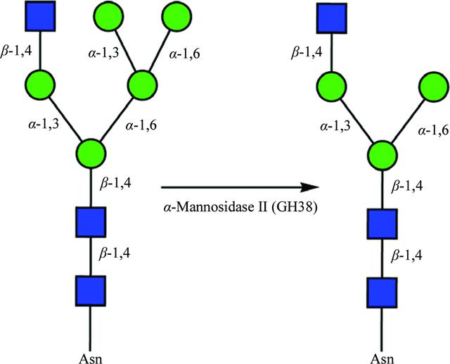 (IUCr) Expression, purification and preliminary crystallographic ...