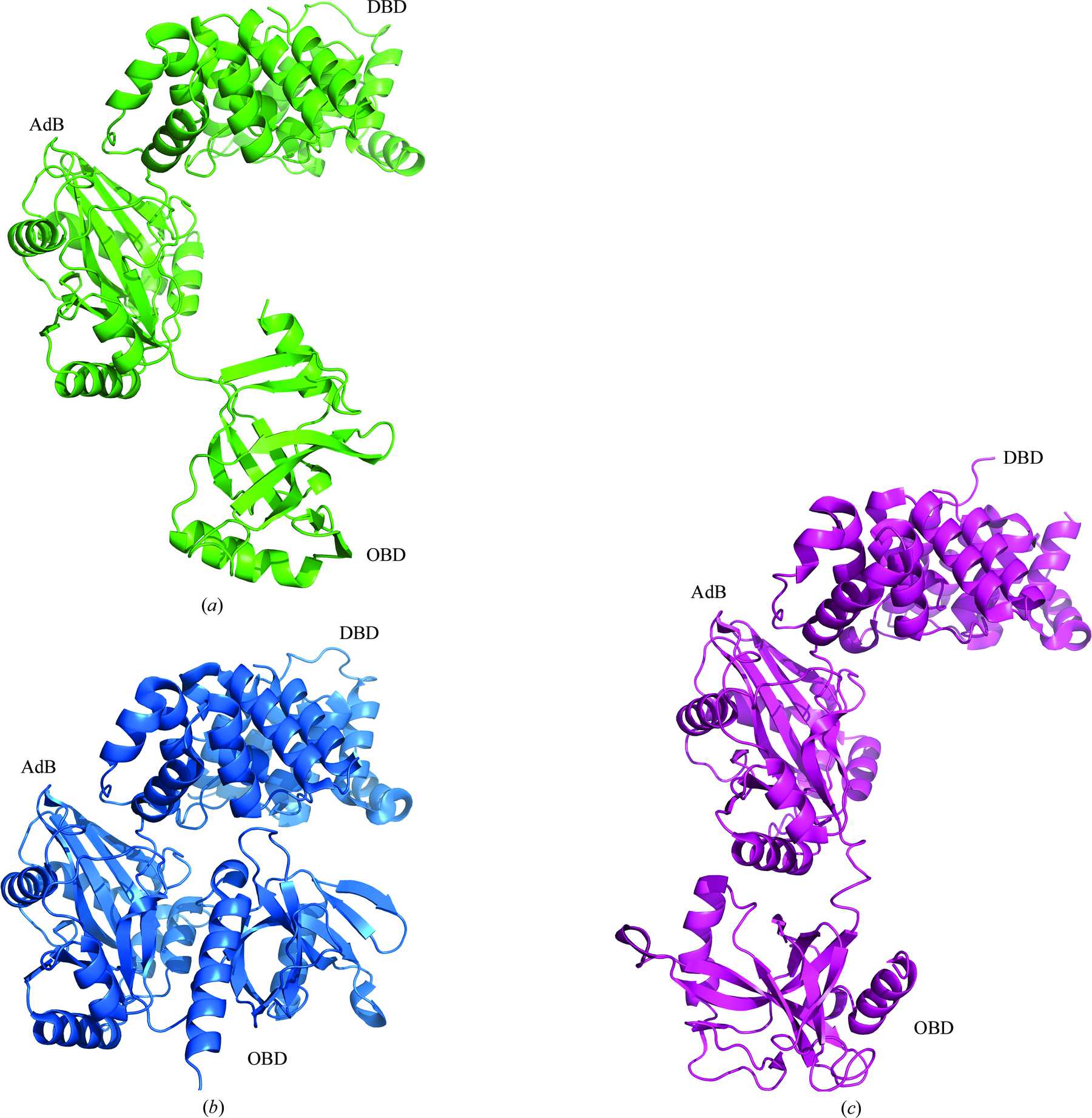 (IUCr) ATP-dependent DNA ligase from Thermococcus sp. 1519 displays a ...