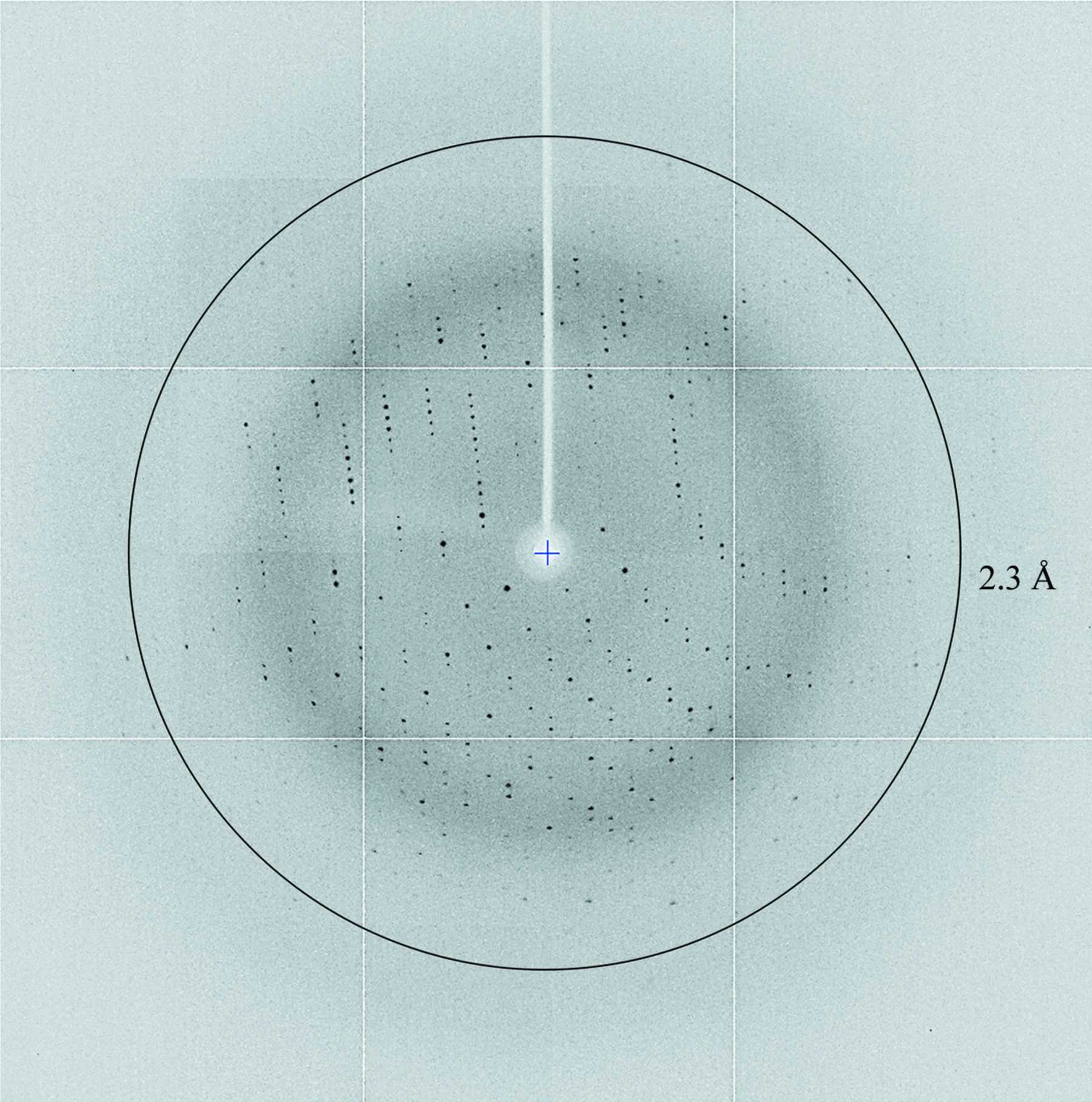 (IUCr) Purification, crystallization and preliminary X-ray analysis of ...