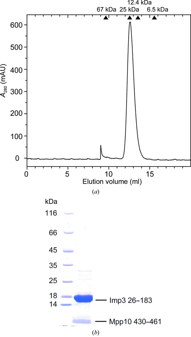 (IUCr) Purification, crystallization and preliminary X-ray diffraction ...