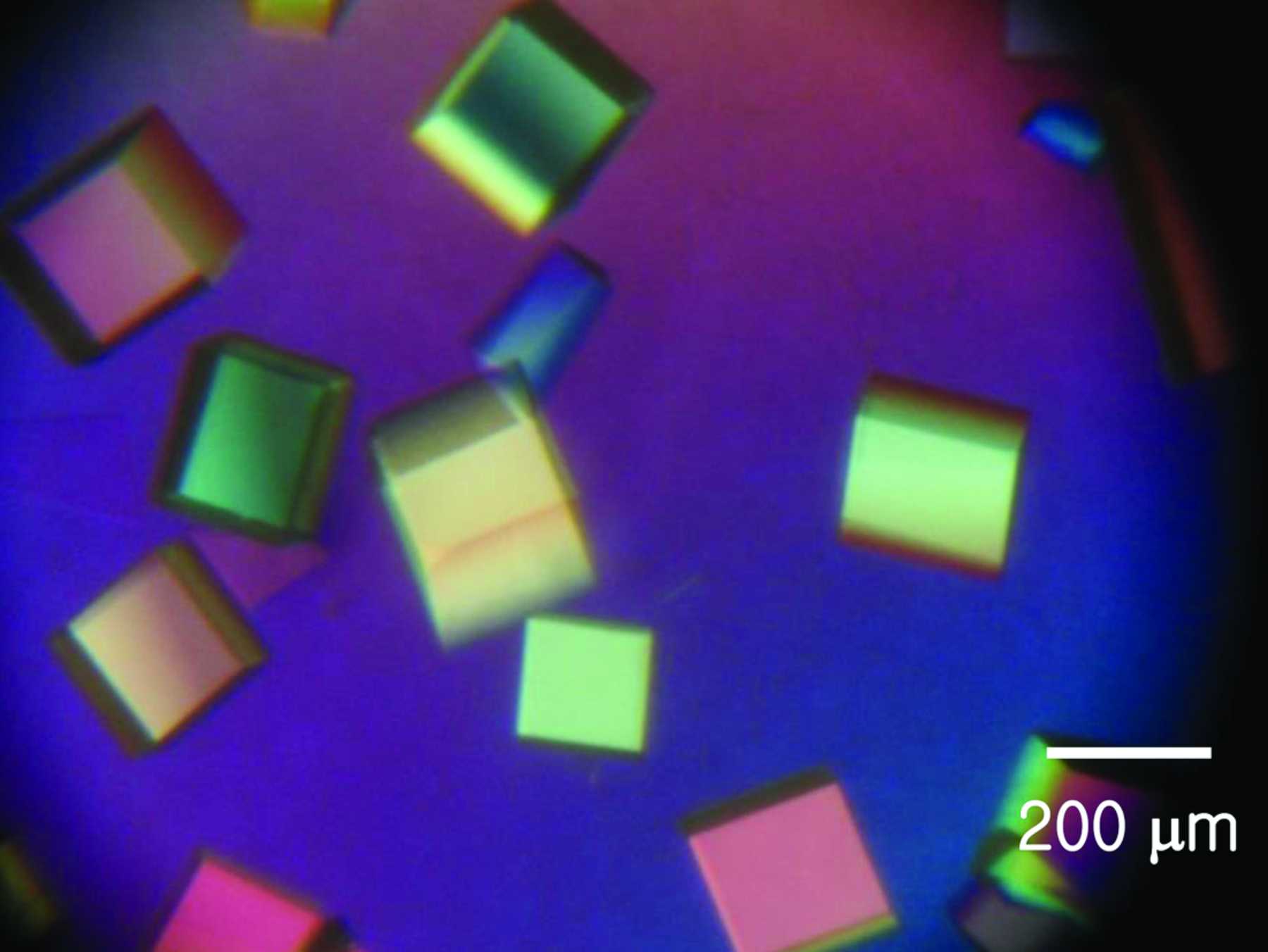 (IUCr) Cloning, expression, purification, crystallization and X-ray ...