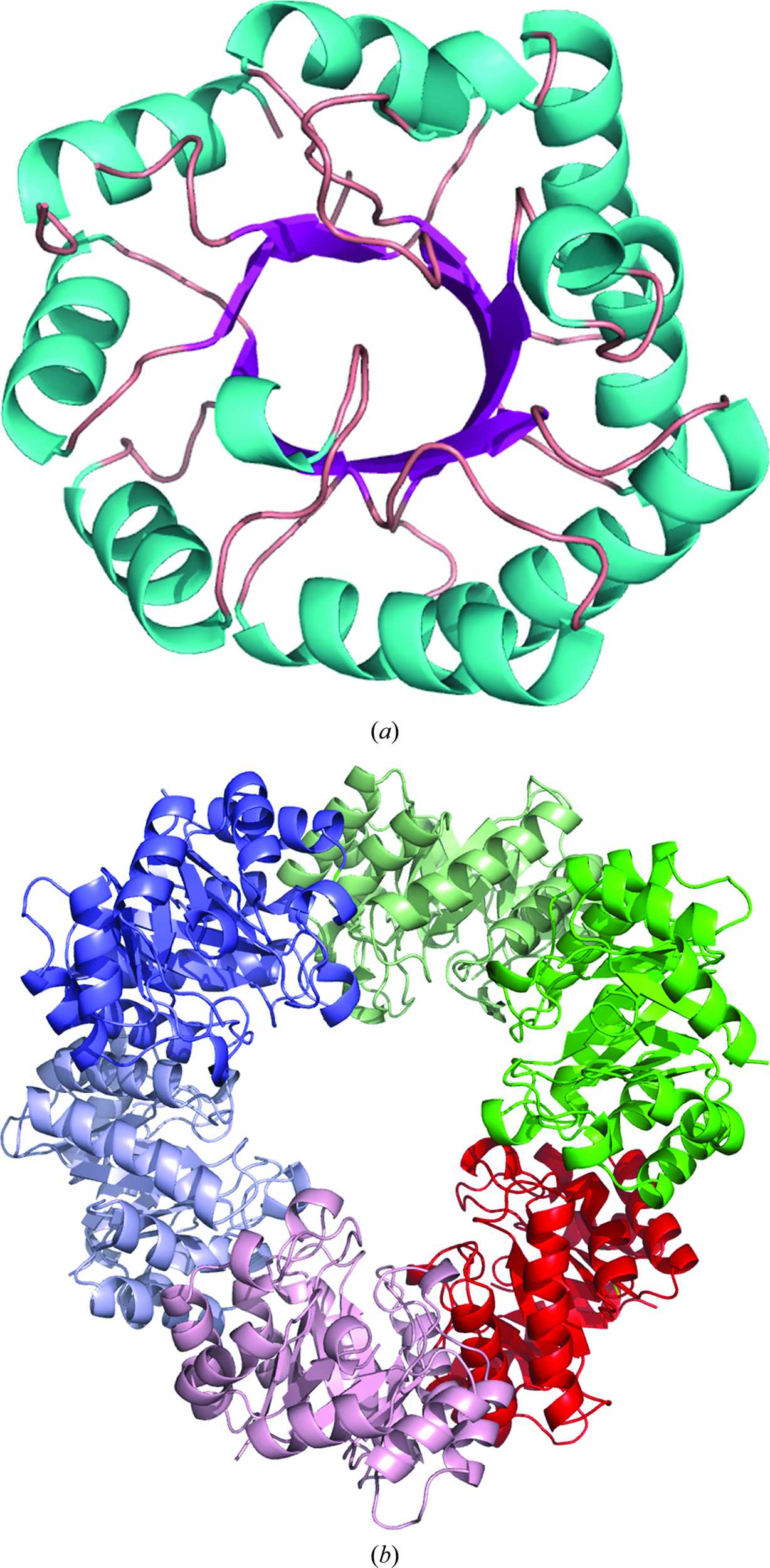(IUCr) Structure of the methano­furan/methanopterin-biosynthetic enzyme ...