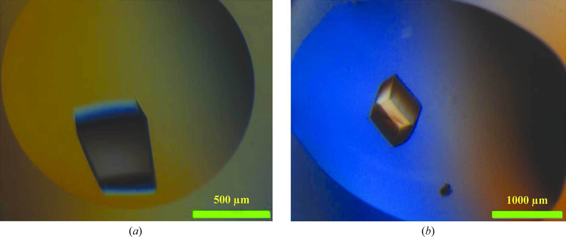 (IUCr) Purification, crystallization and preliminary X-ray diffraction ...