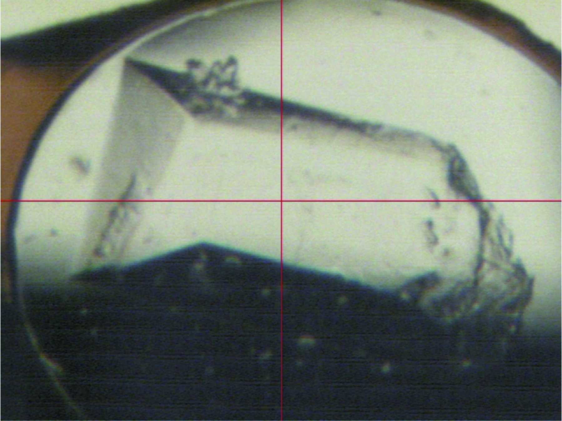 (IUCr) Expression, purification, crystallization and preliminary X-ray ...