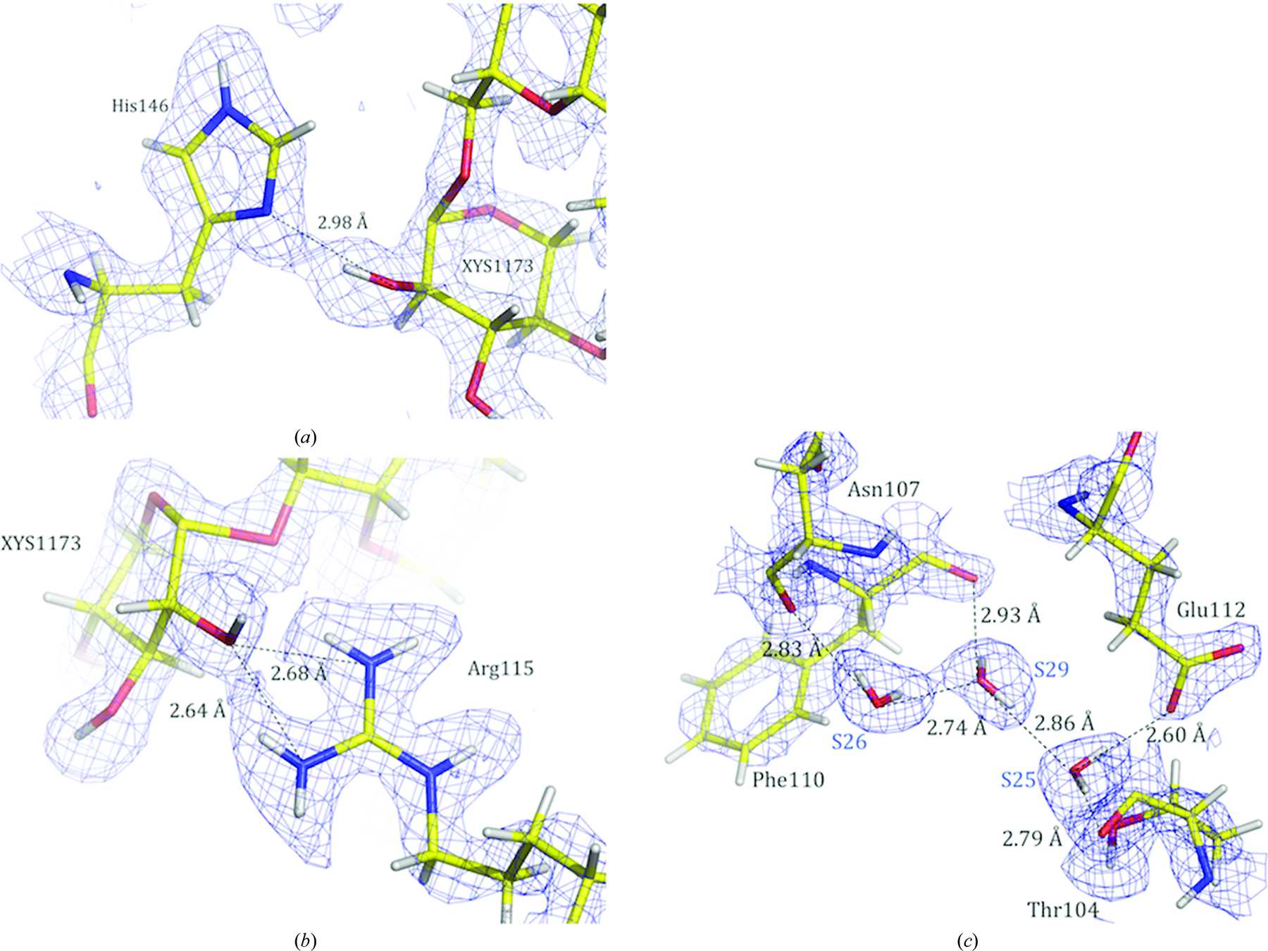 (IUCr) Crystallization, neutron data collection, initial structure ...