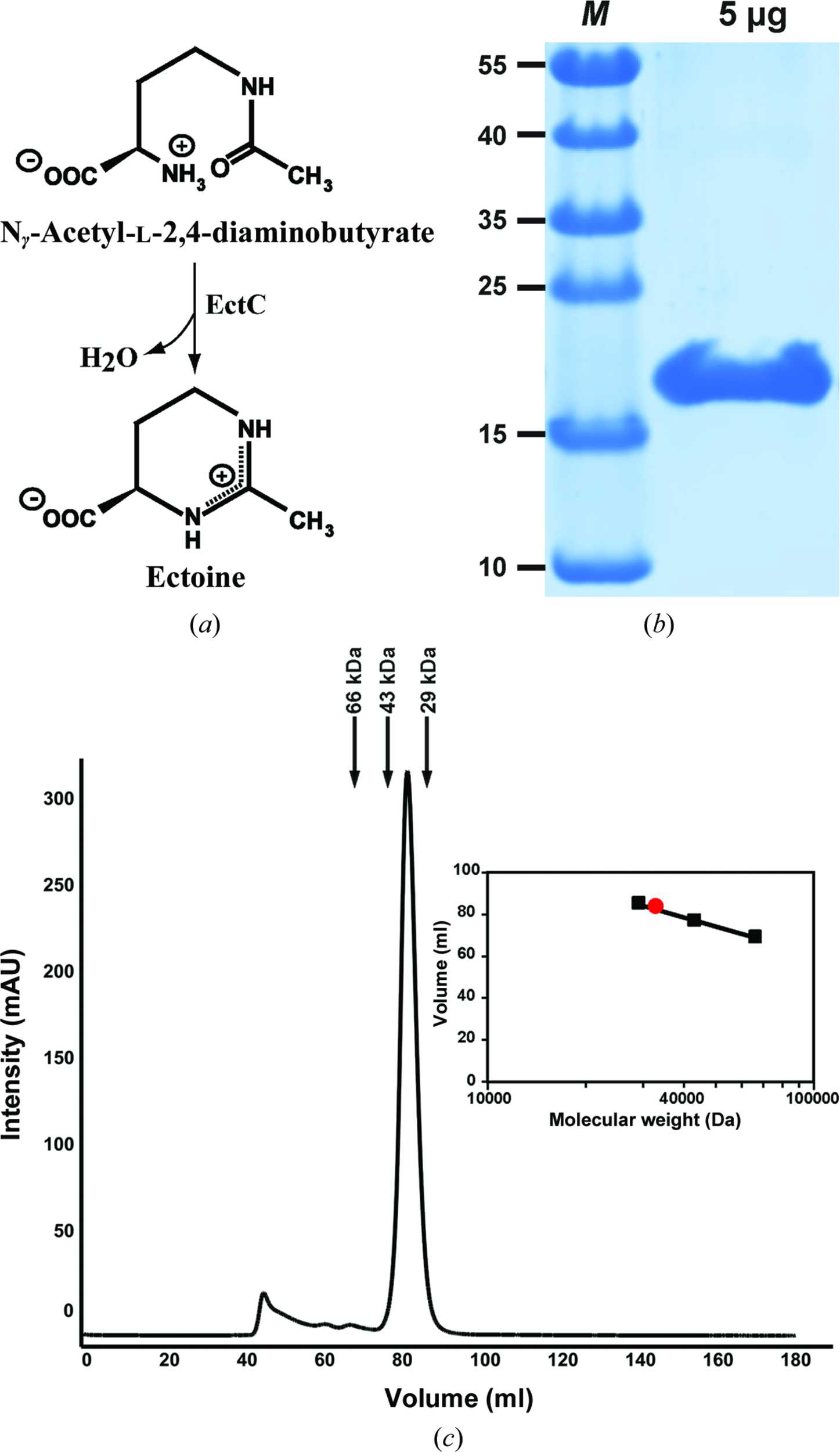 (IUCr) Overproduction, crystallization and X-ray diffraction data ...