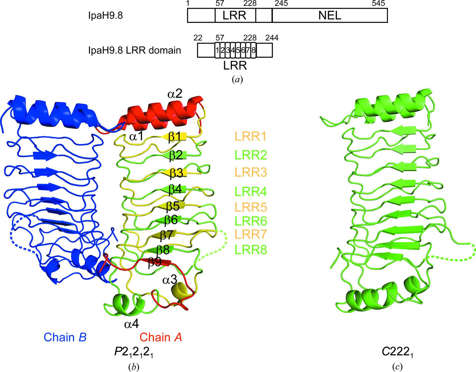 (IUCr) Crystal structure of the substrate-recognition domain of the ...